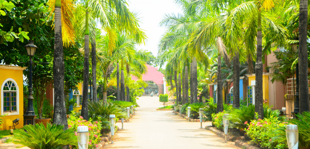 Open Ground – Ravindra Bhavan Margao